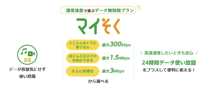 mineo(マイネオ)でiPadを使う手順や設定方法を解説